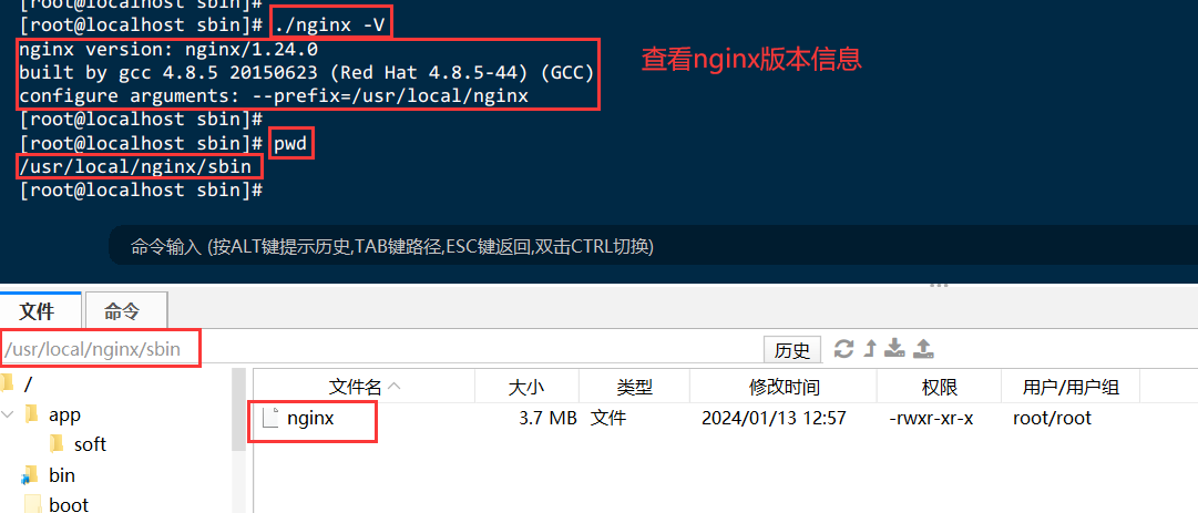Nginx基础篇【一】_nginx license-CSDN博客