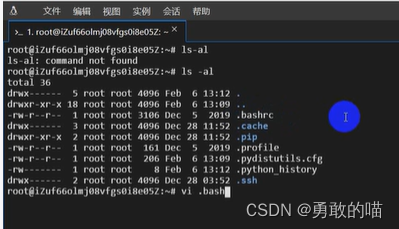 阿里云服务器（Ubuntu）从0开始部署Flask项目_阿里云部署flask-CSDN博客