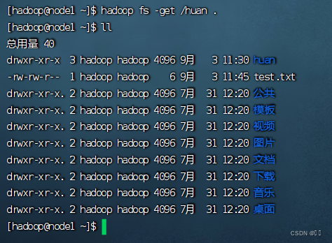 Hadoop之HDFS使用命令(常用)_在hadoop ha集群启动后,在任意节点出操作hdfs文件系统至少4个命令,如创建目录,文-CSDN博客