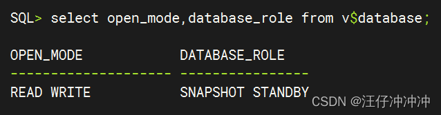 oracle Snapshot standby database（snapshot打开备库）-CSDN博客