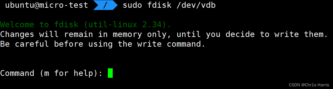 Linux调整分区大小而不丢失数据_resize2fs调整分区大小-CSDN博客