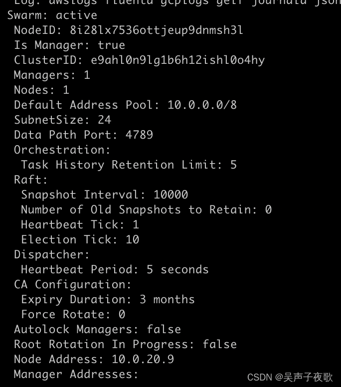 Docker Swarm——基本使用_docker swarm init-CSDN博客
