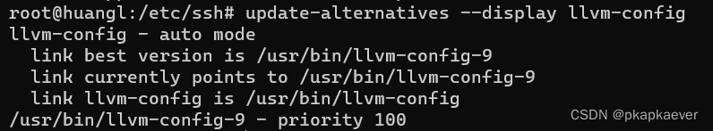 编译polygeist-polymer项目-CSDN博客
