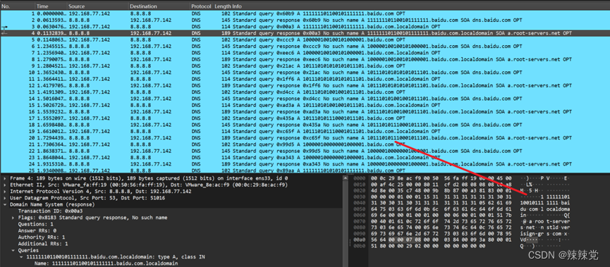CISCN2024 Day1 其中一题DNS_ctf dns题目 一串奇怪的字符-CSDN博客