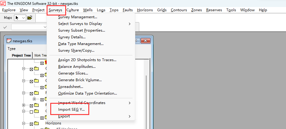 The KINGDOM Software 32-bit导入segy数据_kingdom软件-CSDN博客