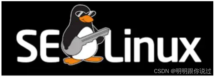 SELinux深度解析：安全增强型Linux的探索与应用（下）_selinux type-CSDN博客