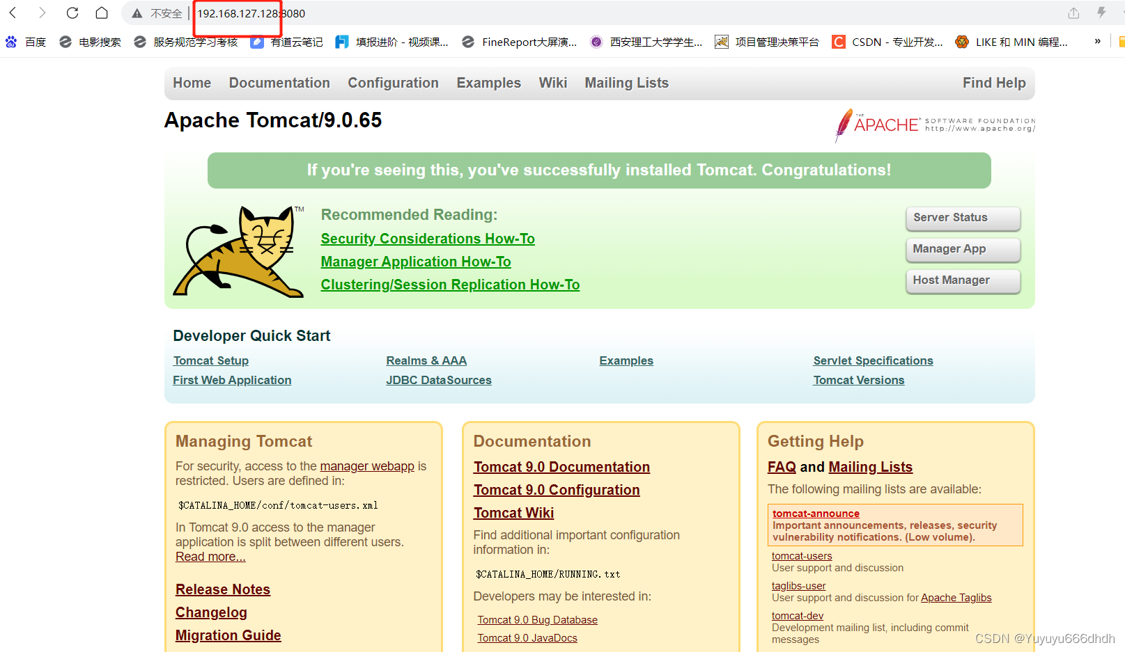 Linux下Tomcat服务器Finereport部署_finereport11 linux 登录-CSDN博客