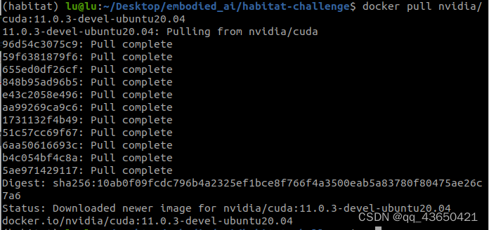 Nvidia-docker的基础使用方法-CSDN博客