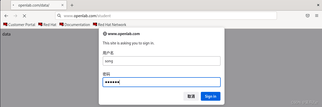 RHCE------Linux搭建web网站-CSDN博客