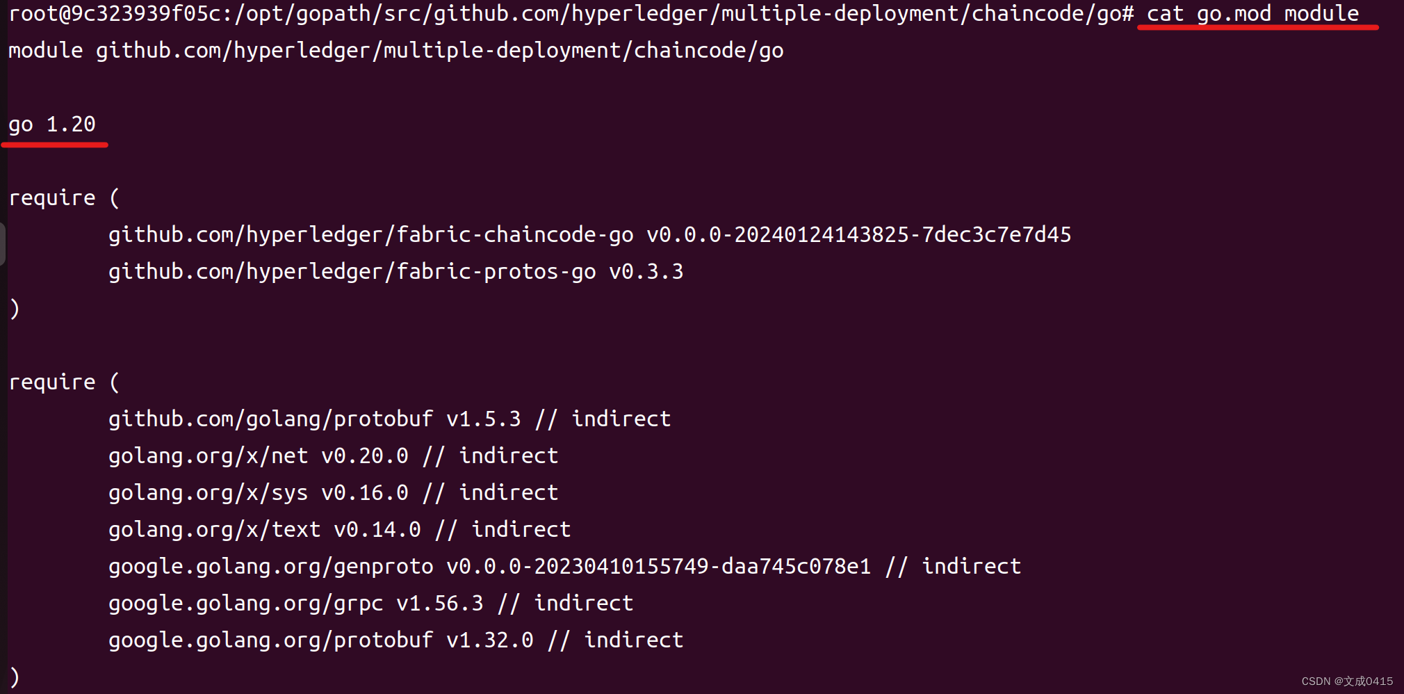 当部署fabric链码时遇到error Chaincode Install Failed With Status 500 Failed