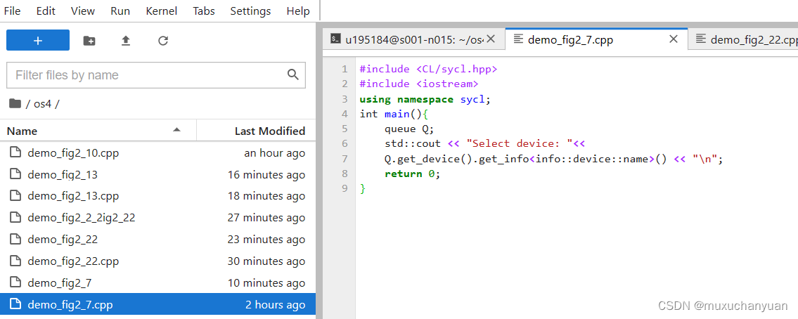 操作系统补充实验四 OneAPI异构并行编程实践_sycl 输出设备信息-CSDN博客