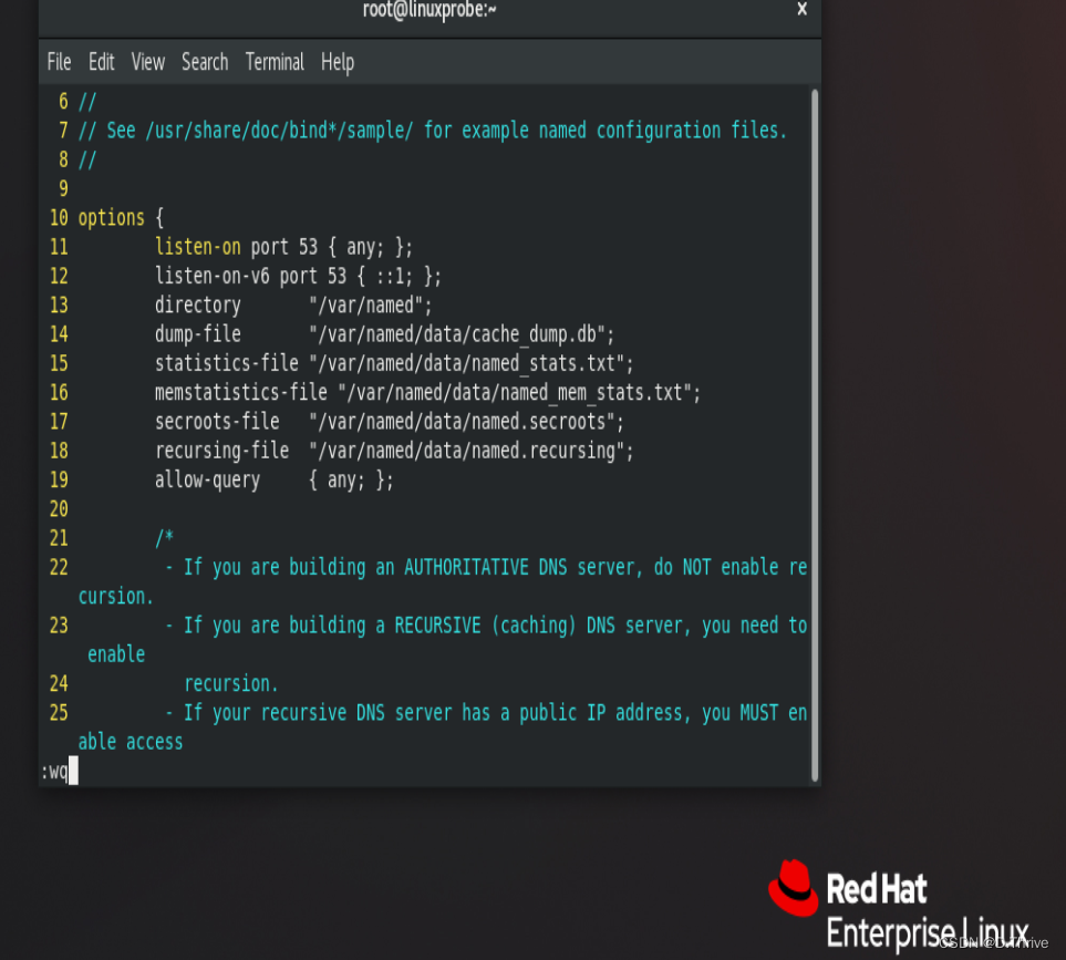 Linux实验记录：使用BIND提供域名解析服务_bind服务-CSDN博客