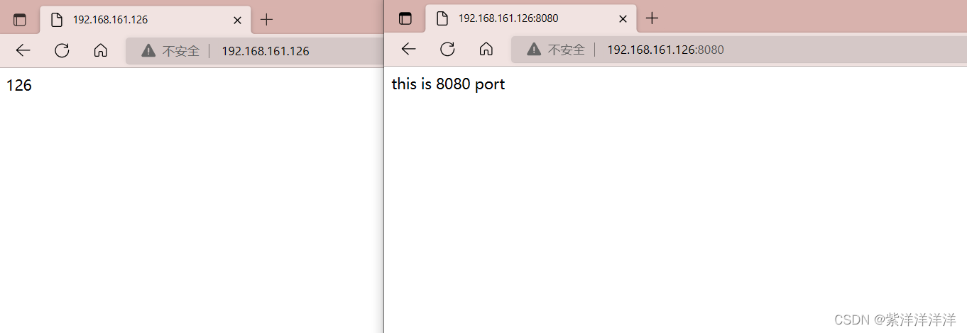 apache建立通过IP、端口、域名来访问不同网站_apache ip访问-CSDN博客