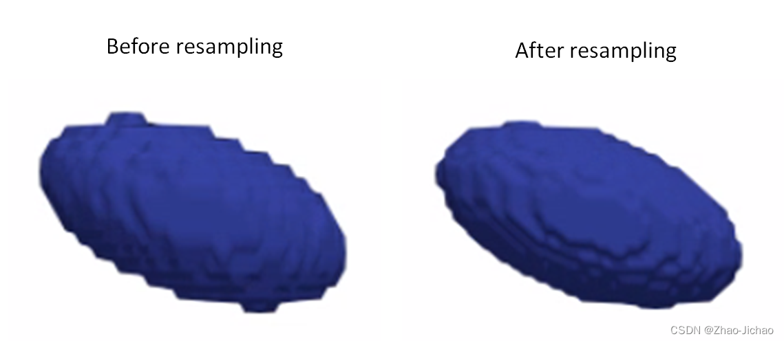 【ShapeWorks】2. 工作流的三板斧 - How to Groom Your Dataset?-CSDN博客