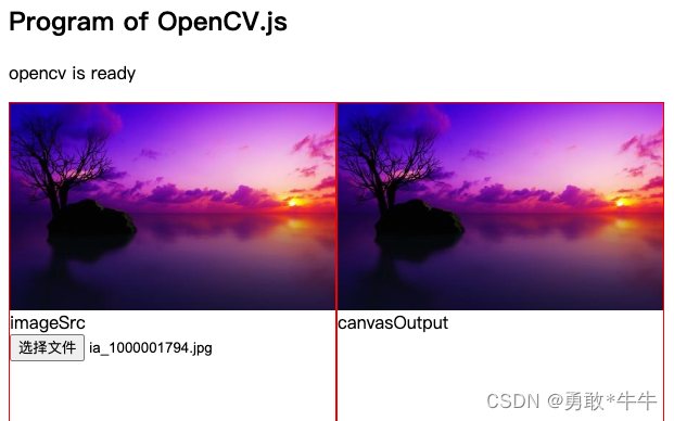 学习opencv.js之基本使用方法（读取，显示，灰度化，边缘检测，特征值点检测）-CSDN博客