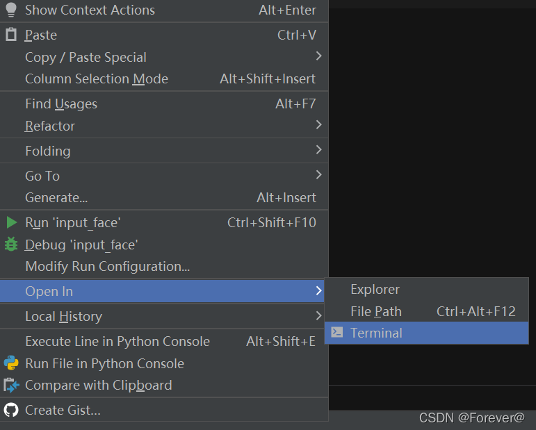 Python+OpenCV3人脸识别项目中的常见报错（已解决）_`anonymous-namespace'::sourcereadercb::~sourceread-CSDN博客