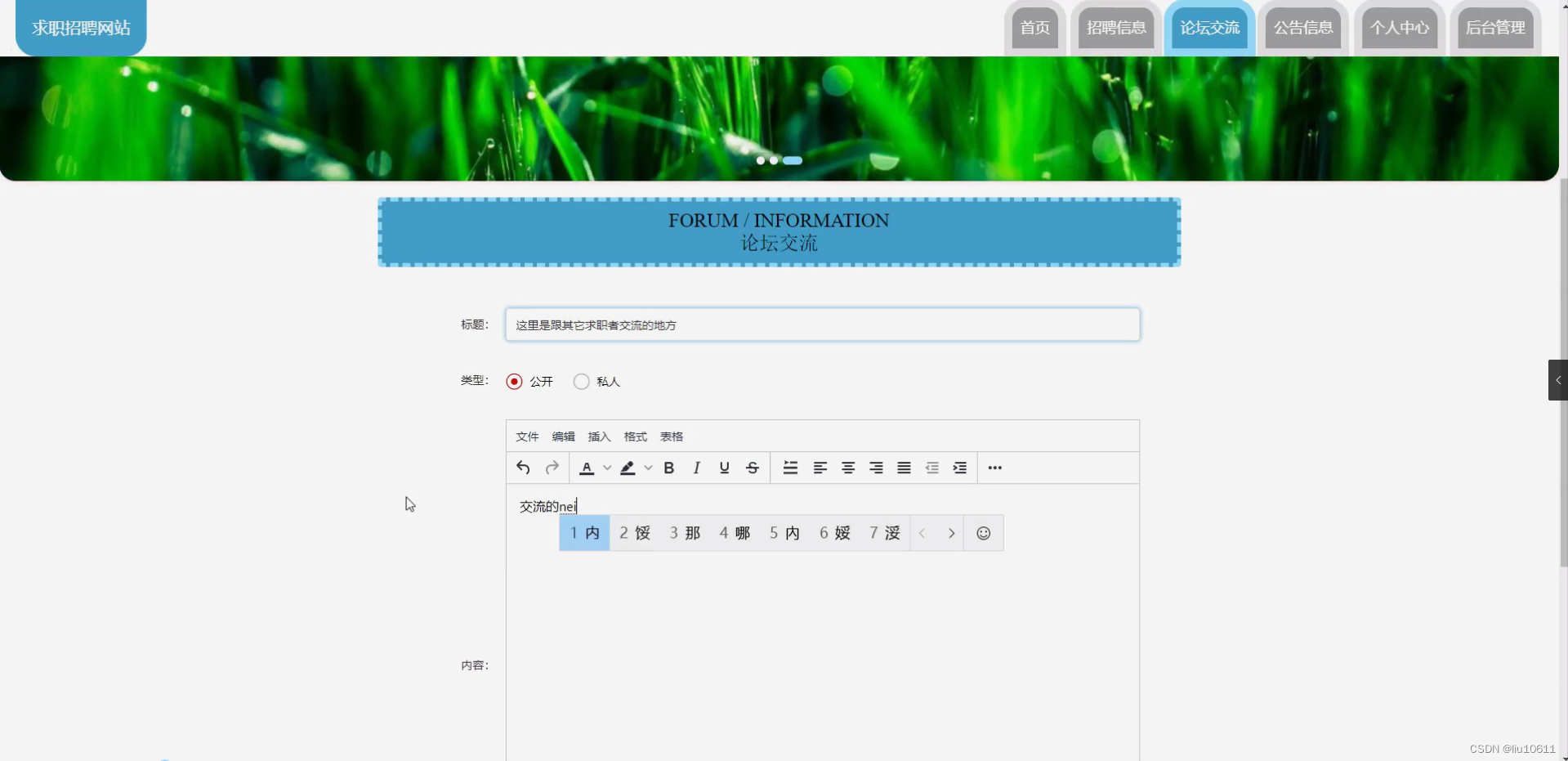 java求职招聘网站-CSDN博客