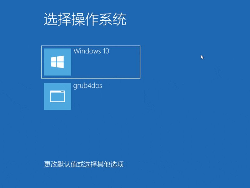 在Windows 10/11系统中使用 grub4dos 启动 linux-CSDN博客