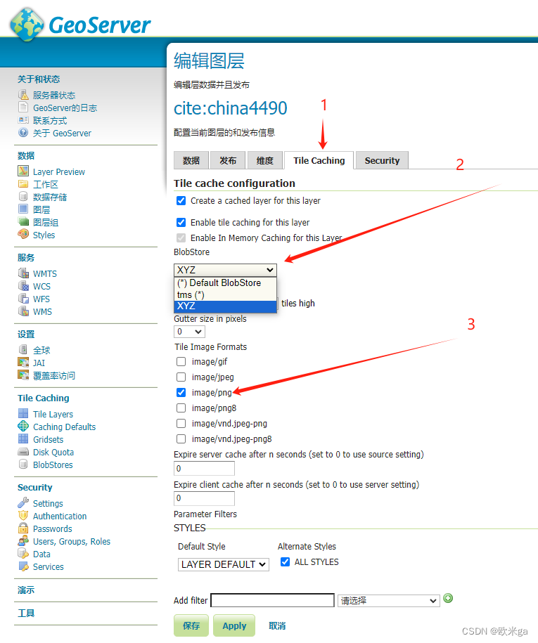 Geosever发布4490影像 | 超详细教程_geoserver发布影像服务-CSDN博客