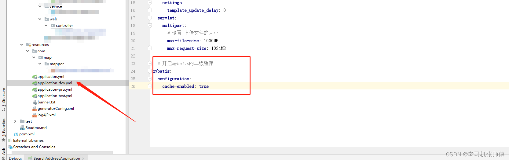 PageHelper插件使用Mybatis二级缓存完美解决分页查询慢问题_mybatis分页count慢-CSDN博客
