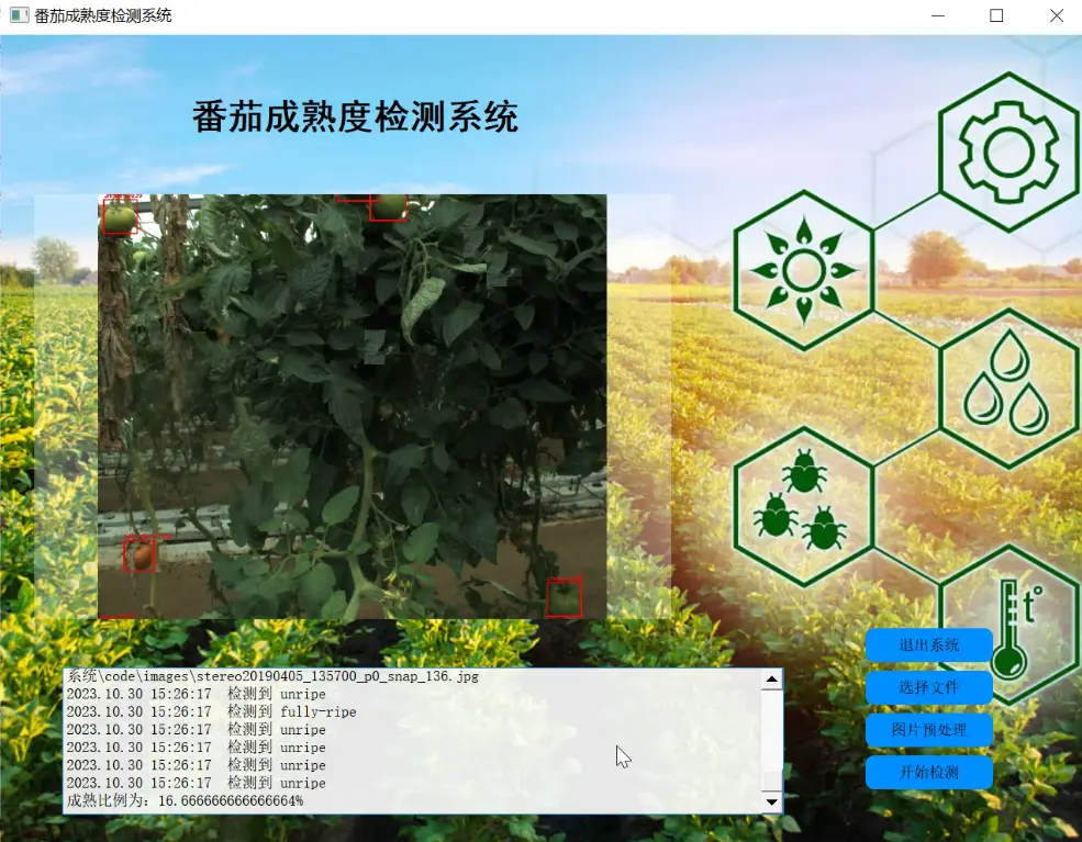 基于VFNet＆Varifocal-Loss改进YOLOv5的番茄成熟度检测系统_为了快速检测一车番茄的品质,可以采用机器视觉和传感器技术 ...
