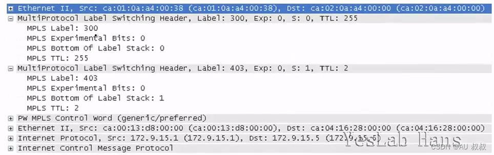 2.2 MPLS标签格式_mpls header-CSDN博客
