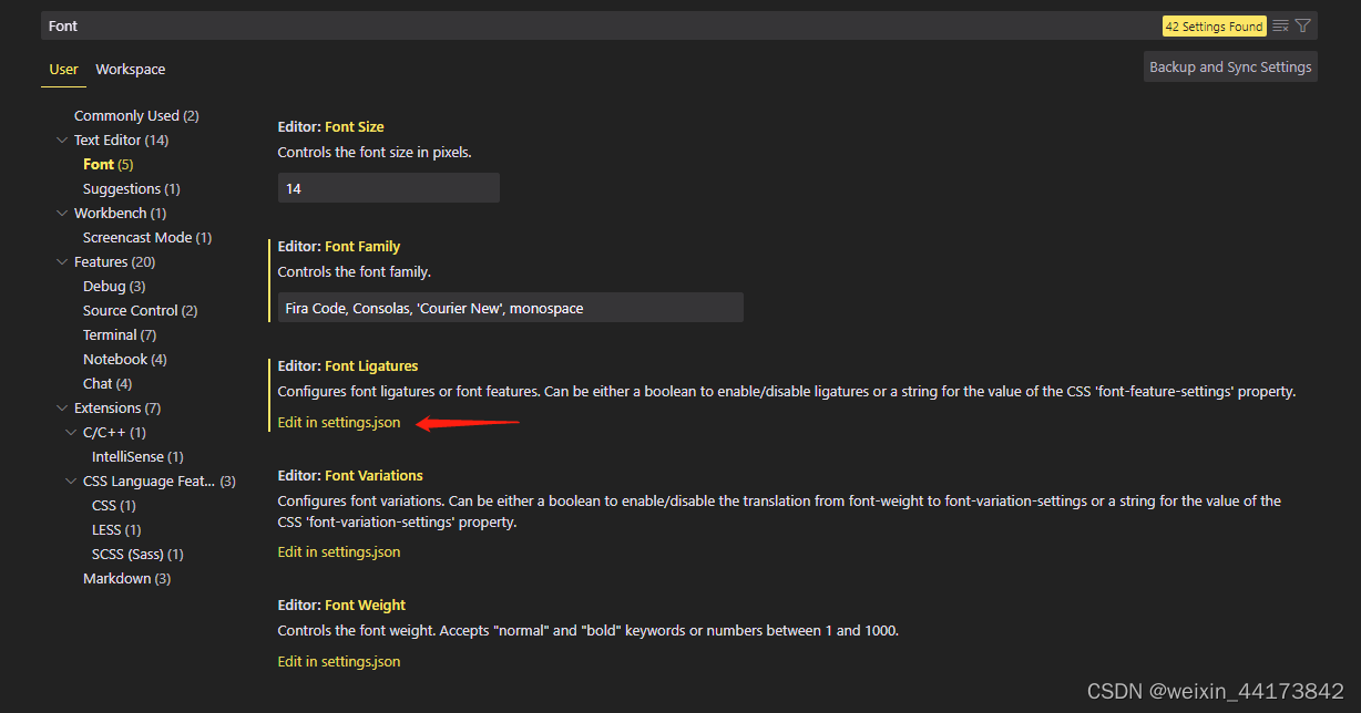 VSCode个性化字体设置：下载、安装与配置-CSDN博客