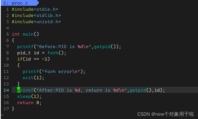 Linux进程控制_linux fork函数返回-CSDN博客