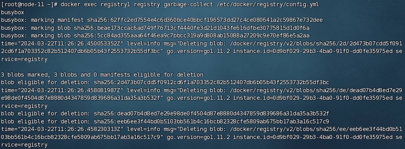 Docker 镜像仓库_docker配置镜像仓库地址-CSDN博客