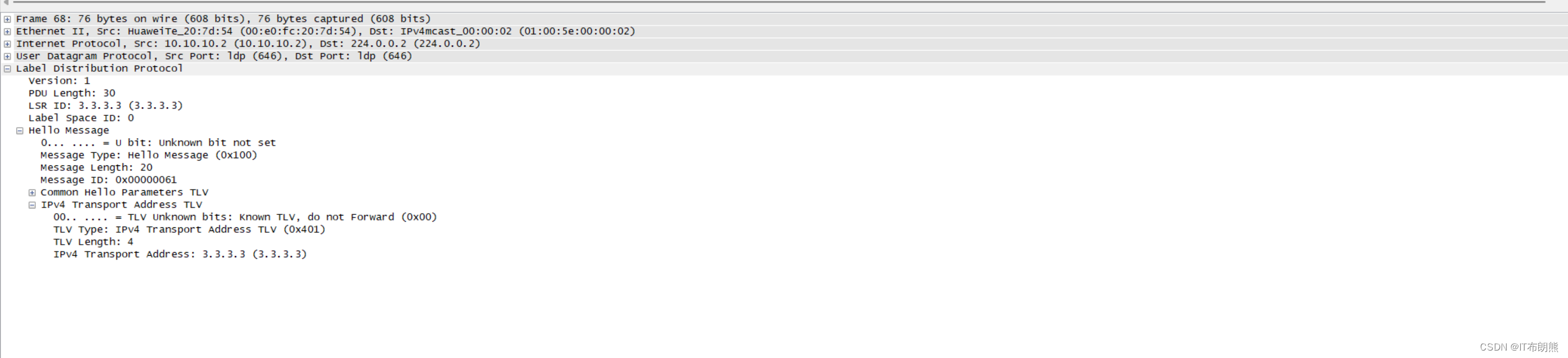 LDP动态建立LSP，理论及配置操作。_ldp lsp-CSDN博客