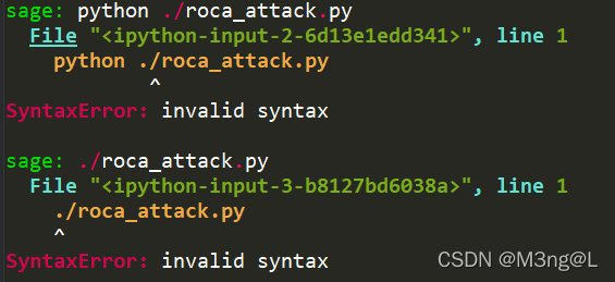 在sagemath中运行python文件_sage运行py文件-CSDN博客