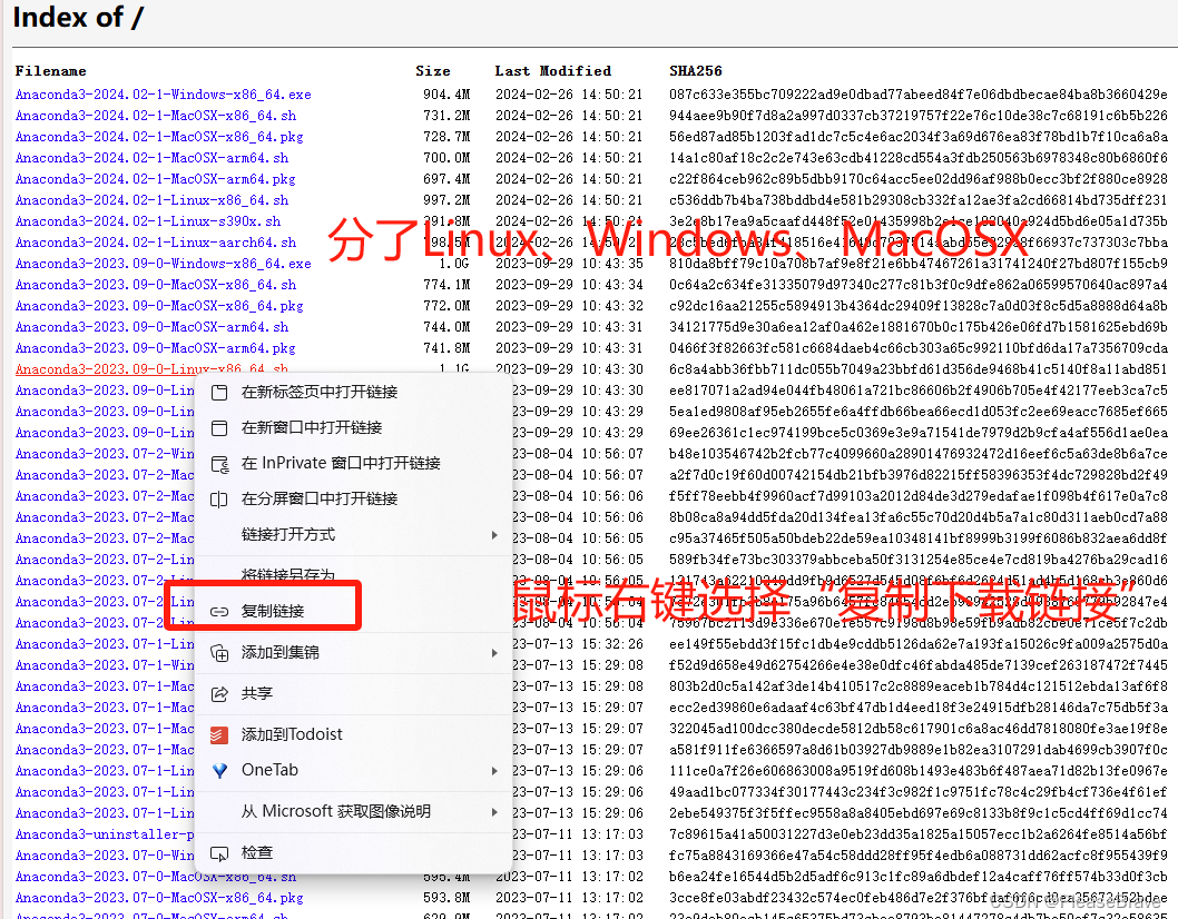 Linux服务器安装anaconda、配置pytorch环境_linux服务器配置anacondatorch环境-CSDN博客