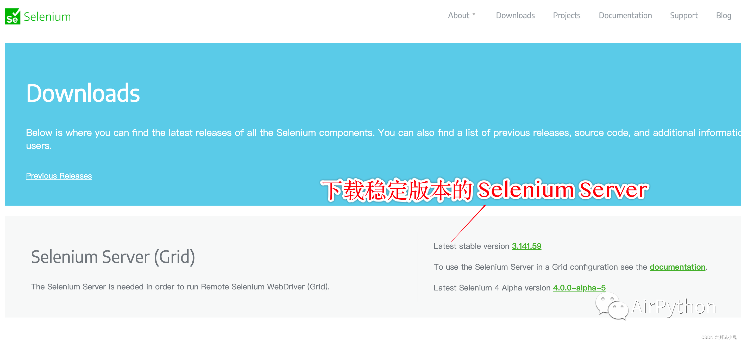 Selenium Grid 分布式 | 介绍与实战-CSDN博客