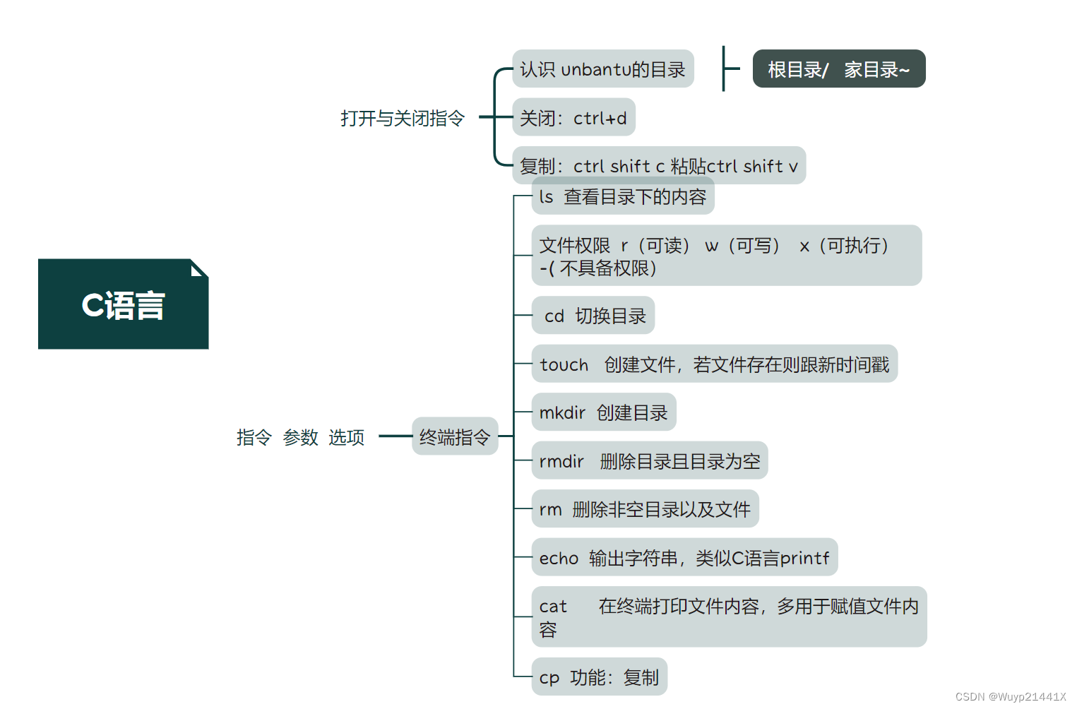 Day1 C 基础-CSDN博客
