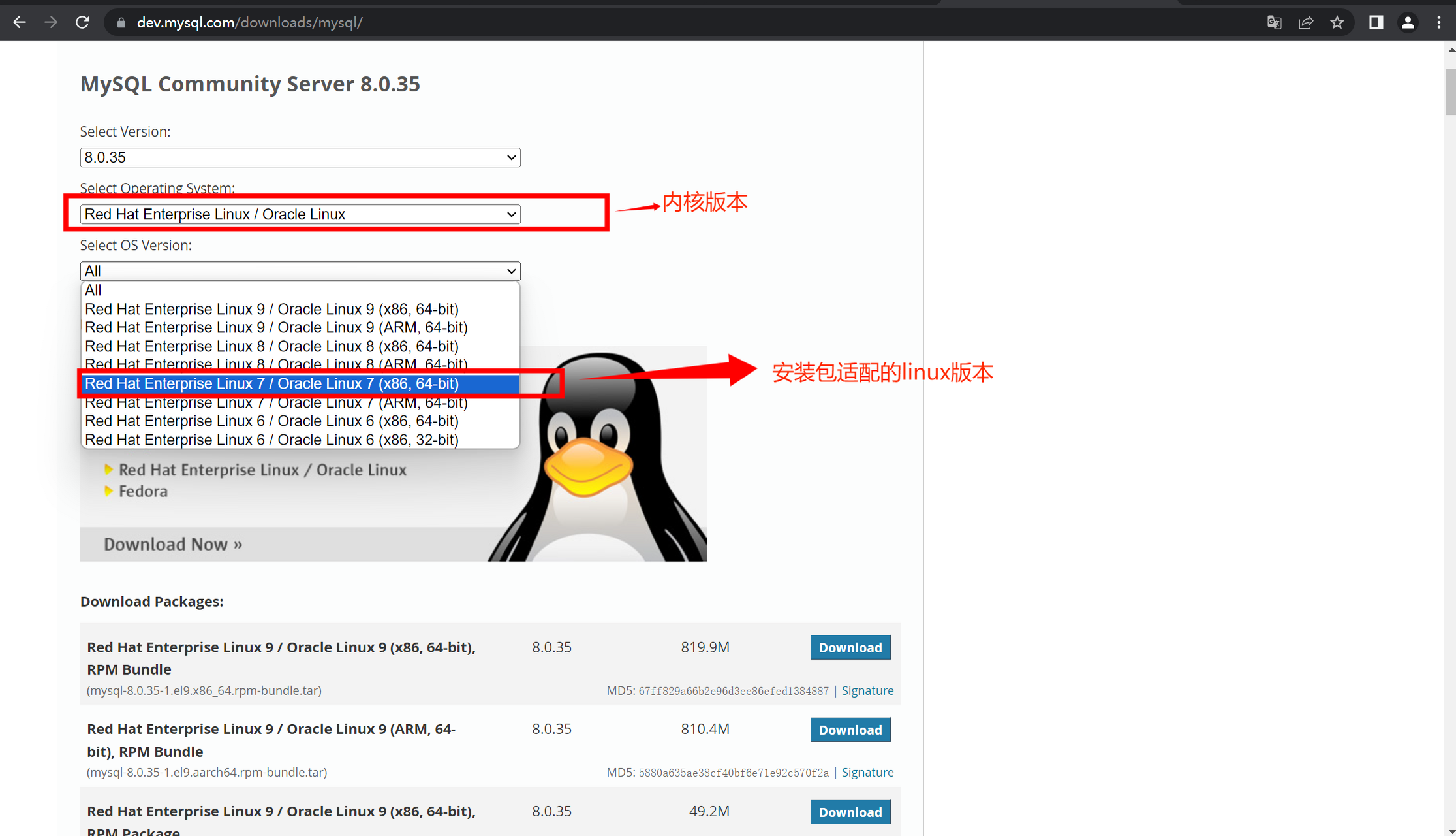 Centos安装MYSQL8(离线可用)_centos离线安装mysql8-CSDN博客