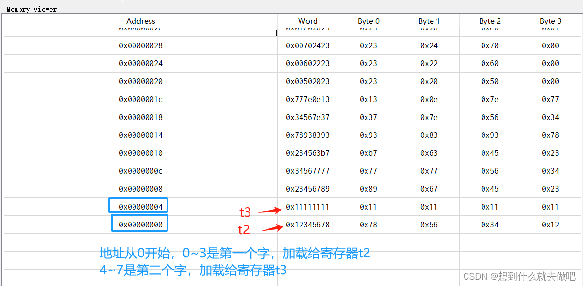 RISC-V指令集——Store指令Load指令-CSDN博客