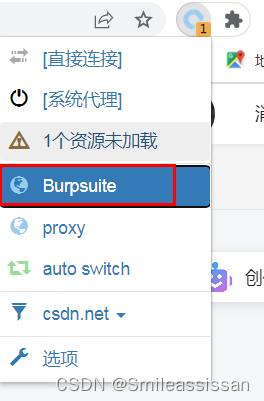 二、Burpsuite的代理设置及浏览器代理插件安装_burp suite的代理-CSDN博客