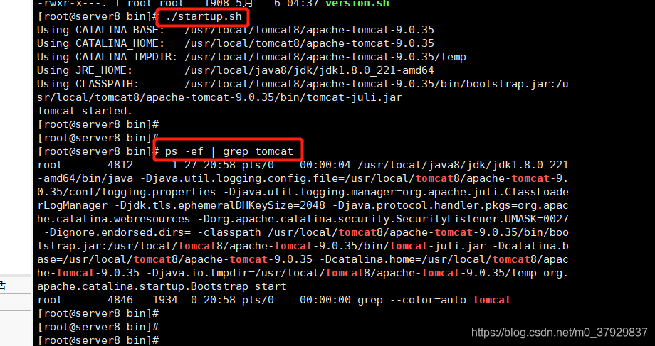 Windows安装Nginx教程_centos8 nginx-CSDN博客