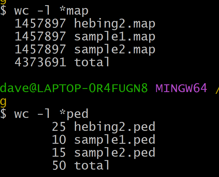 多个plink文件合并方法_plink合并多个文件-CSDN博客