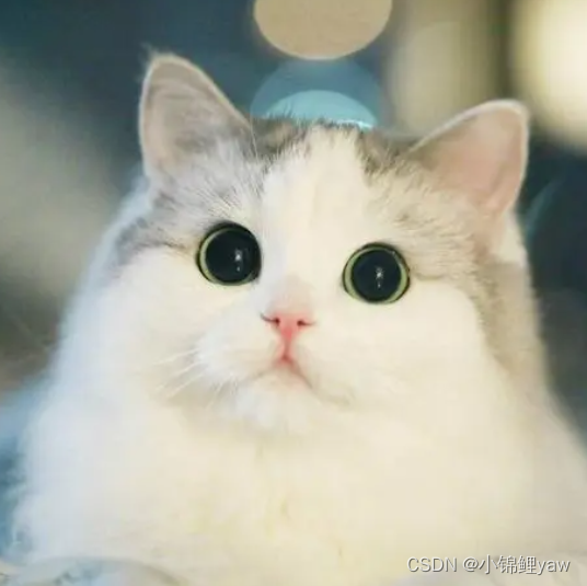 MyBatis---多表查询，动态sql的详细介绍_mybatis多表查询resultmap-CSDN博客