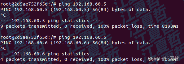 V*N Lab: The Container Version_v*n lab: the container version(seed labs)-CSDN博客