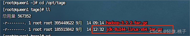 JDK的安装与配置（linux系统）_opt安装jdk-CSDN博客