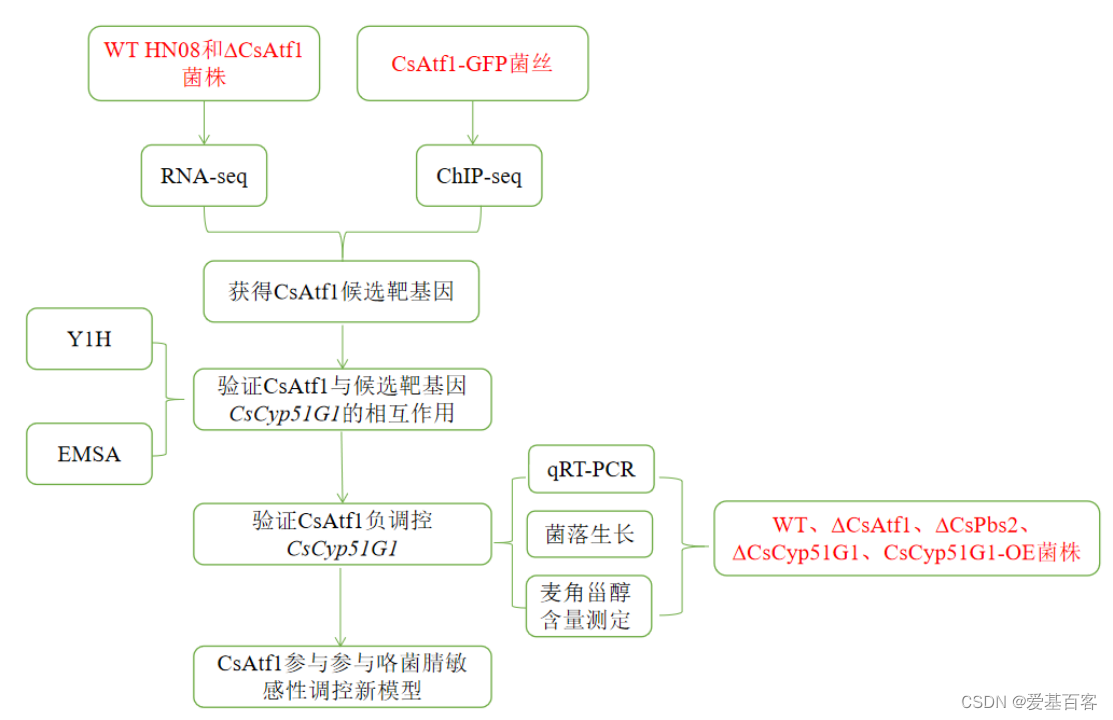 ChIP-seq和RNA-seq联合分析助力揭示暹罗炭疽菌对咯菌腈反应的作用_beta chip-seq和rna-seq数据联合分析-CSDN博客