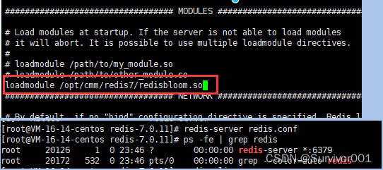 布隆过滤器Moudule安装_redis下载布隆过滤器模块-CSDN博客