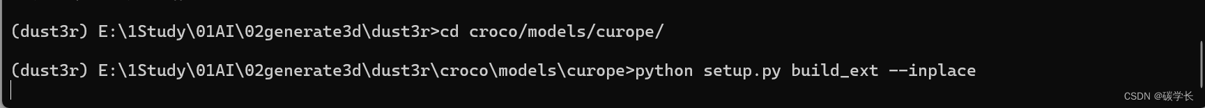 DUSt3R 图生模型 代码使用流程_dust3r下载-CSDN博客