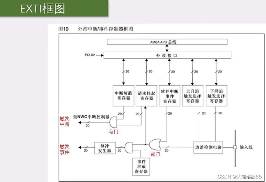 STM32学习11：NVIC基本结构与EXTI外部中断-CSDN博客