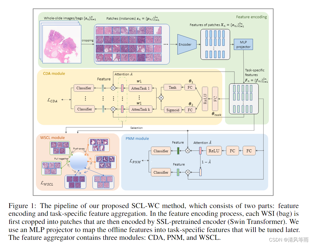 论文阅读：SCL-WC: Cross-Slide Contrastive Learning for Weakly-Supervised Whole-Slide Image ...