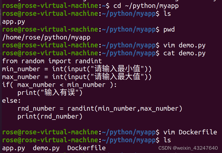 Docker与Python脚本-CSDN博客