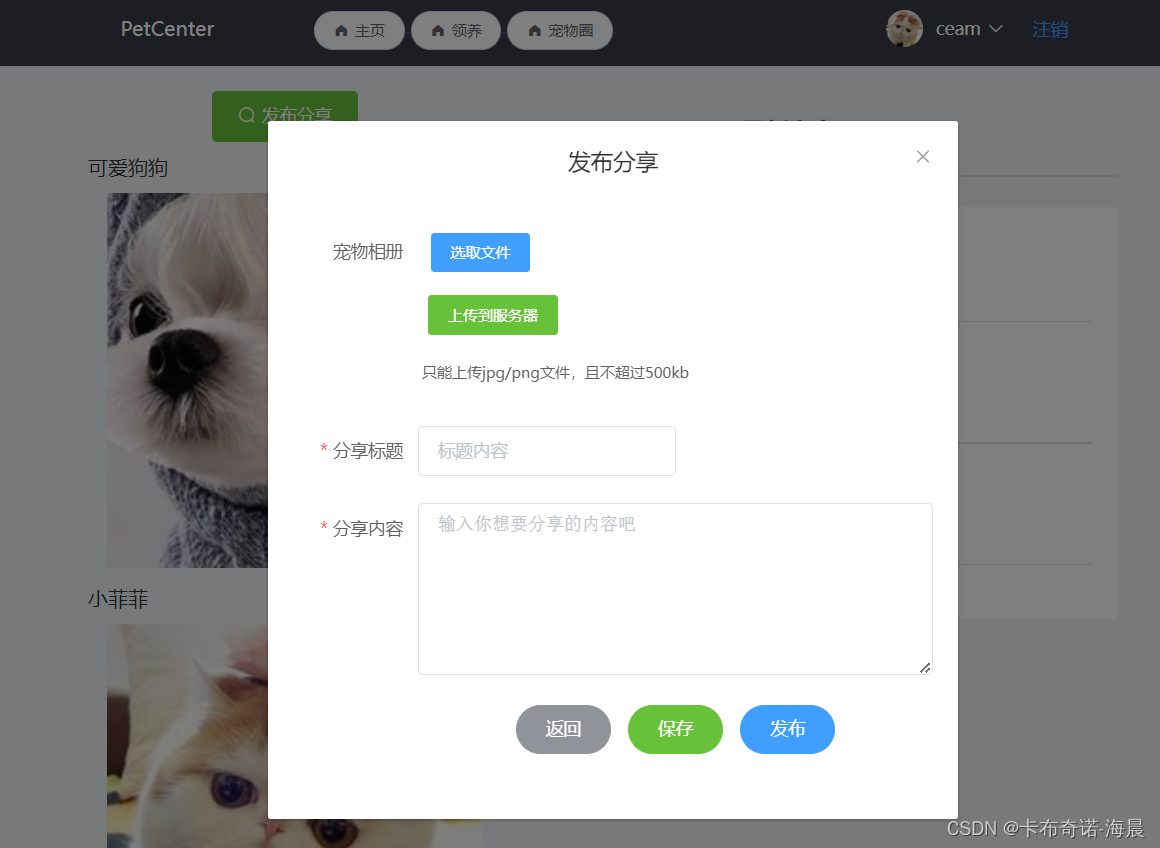 基于javaspringbootmybatisvue前后端分离宠物领养设计与实现代码前后端实现小猫 Csdn博客