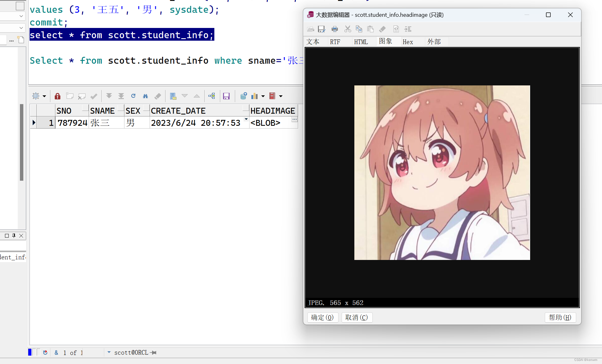 【Oracle】springboot连接Oracle写入blob类型图片数据_springboot oracle blob-CSDN博客